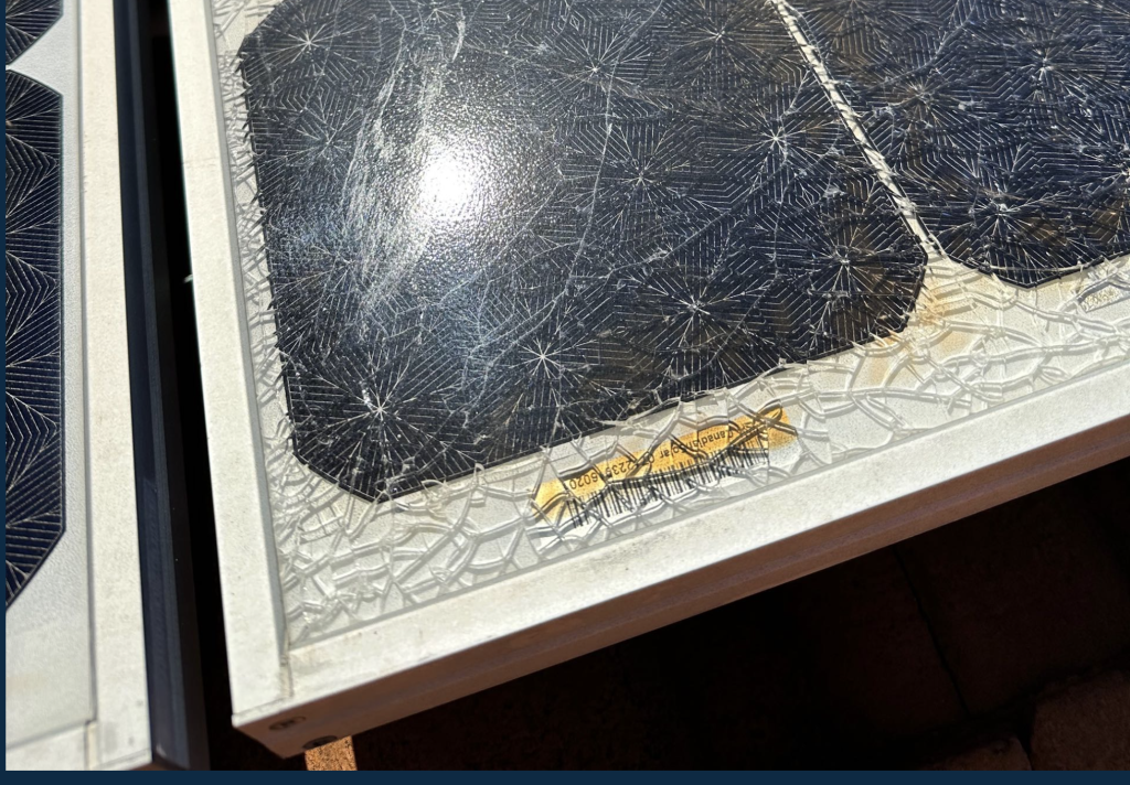 Solar Panel Bird Proofing & Maintenance - Sparc Electrical ...